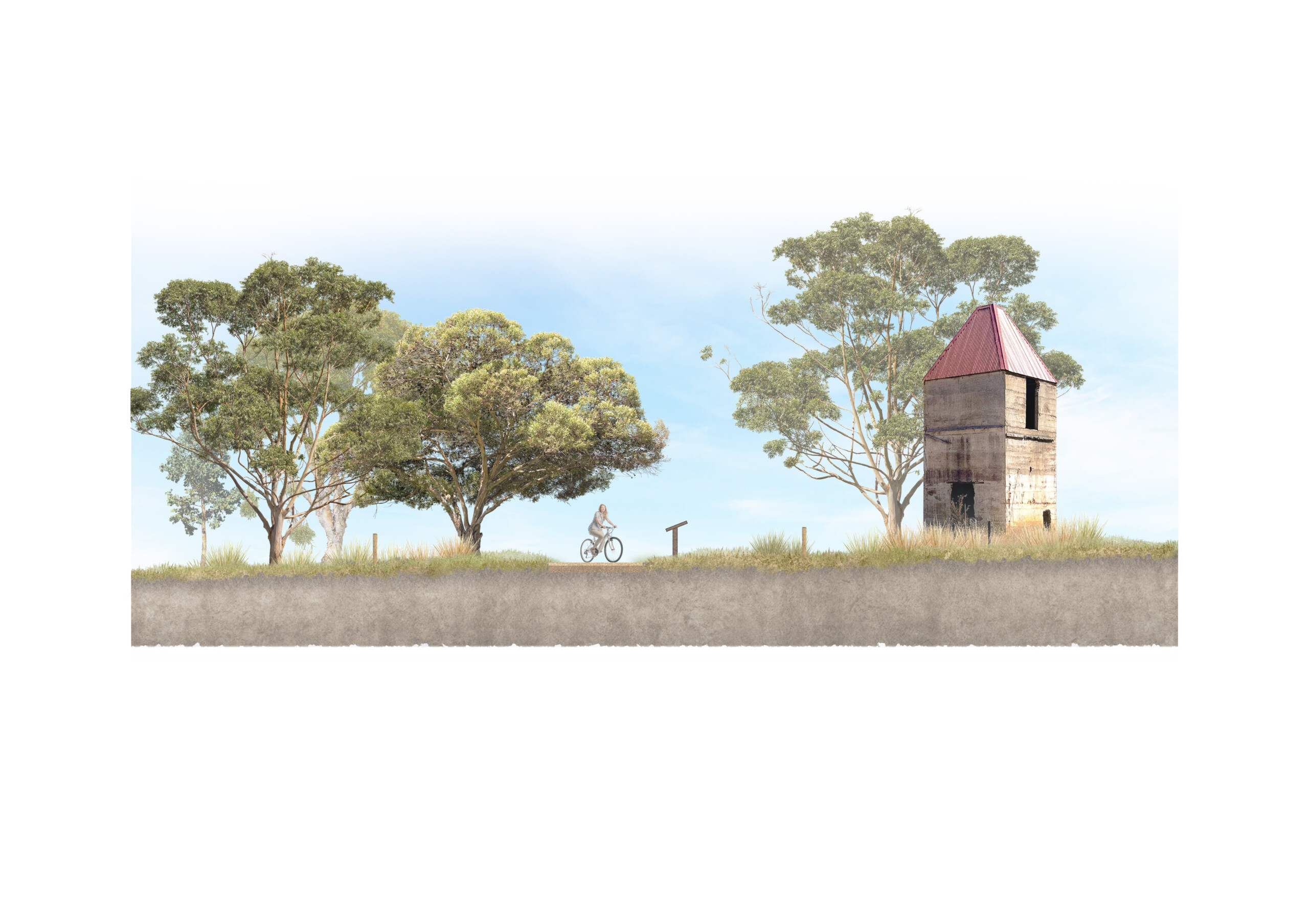 Phillip Island Koala Conservation Reserve Shared Path - Beveridge Williams