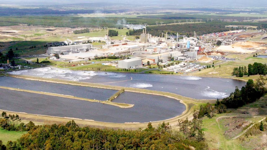 Maryvale Pulp & Paper Mill Buffer - Beveridge Williams