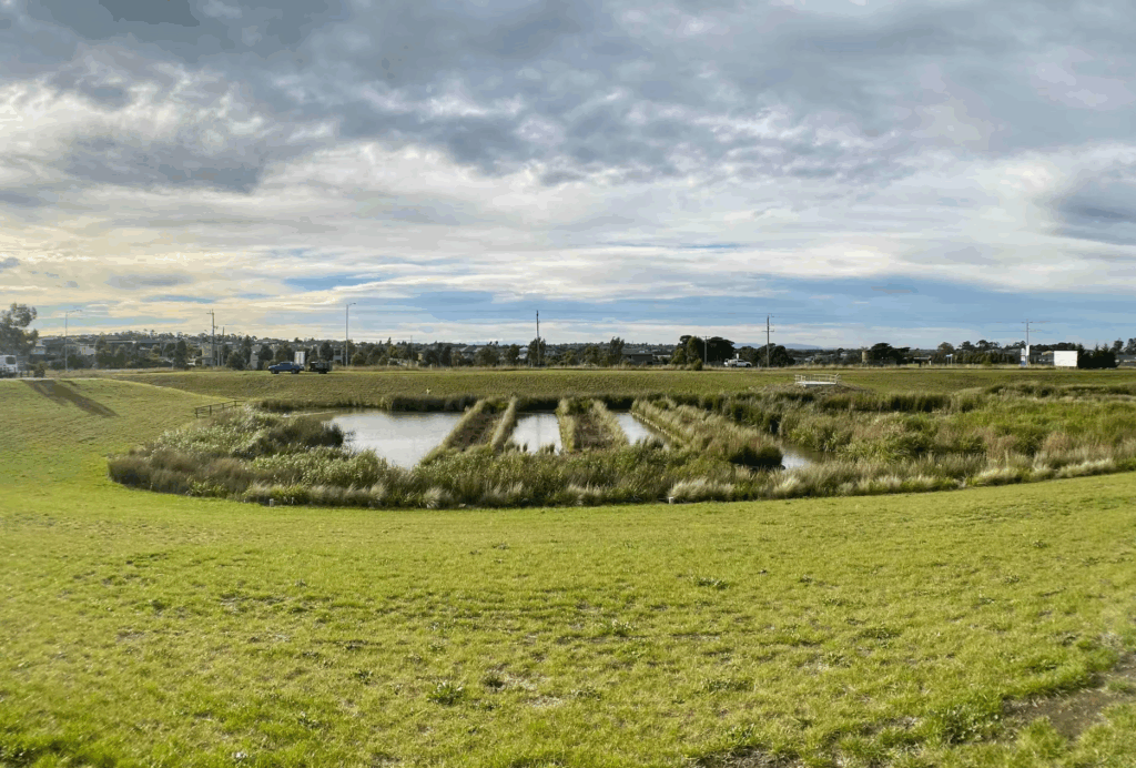 Greenvale Gardens Wetland - Beveridge Williams